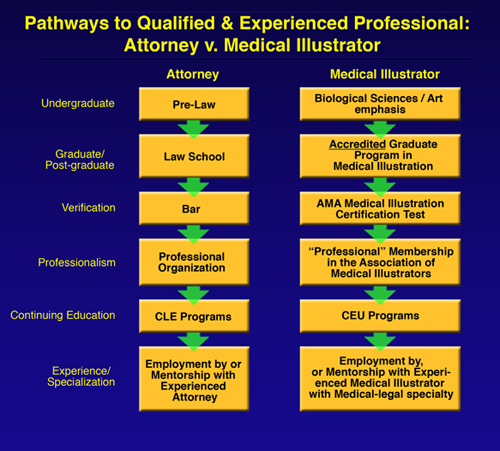 Medical Exhibits - Demonstrative Evidence Expert Blog - MediVisuals ...